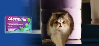ALERMINA 10MG CAPSULAS BLANDAS X10 . Tienda Online Anika Farmacia y ...