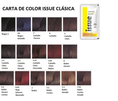 Carta De Colores Issue Tinturas - Recipes Blog l